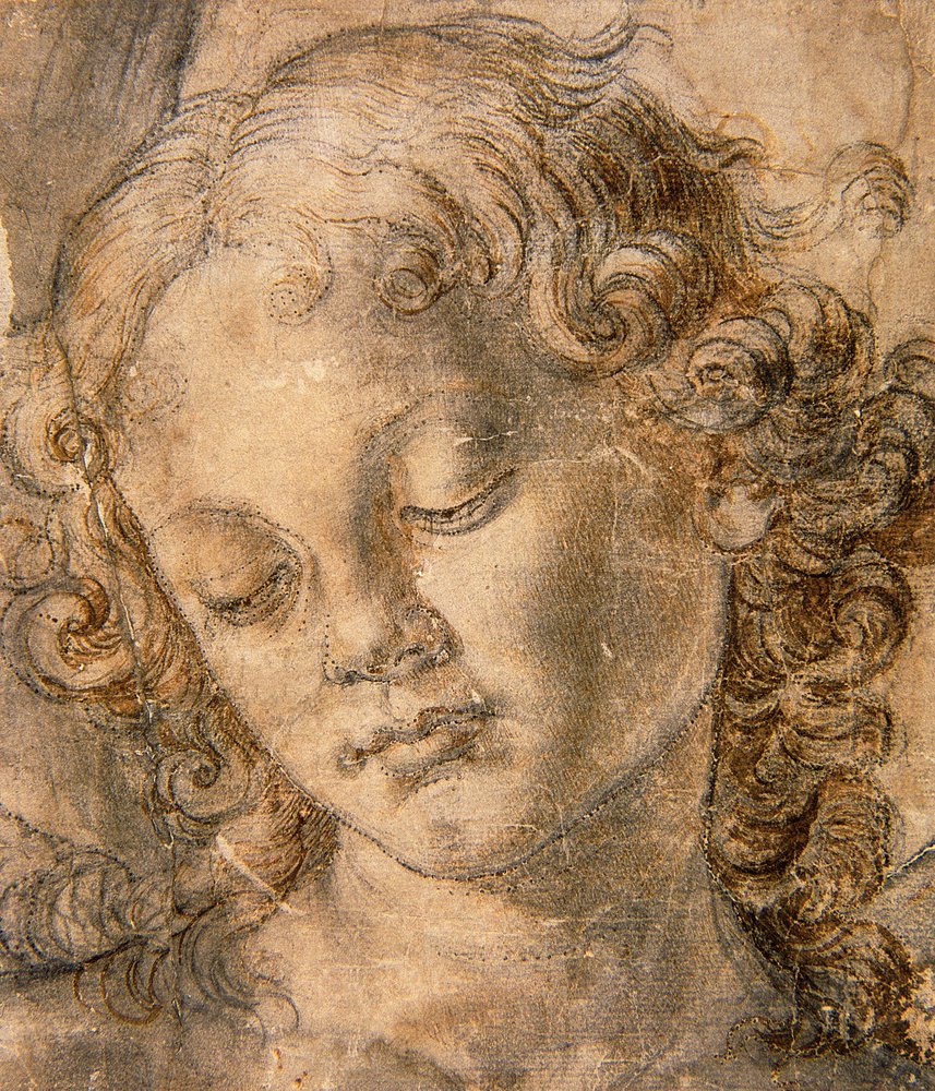 Kopf eines Engels von Andrea del Verrocchio: Kunstdruck