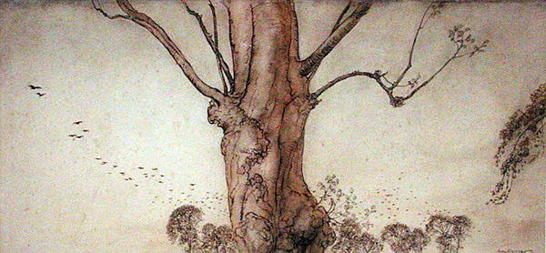 Barbaras Baum von Arthur Rackham: hochwertiger Kunstdruck
