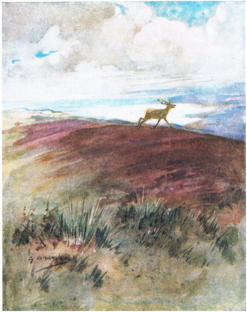 Die Luft war stickig und schwer, als er vom Kamm hinuntertrabte