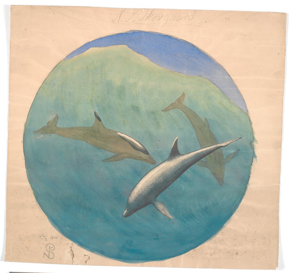 Springende Delfine von Niels Skovgaard: Kunstdruck kaufen