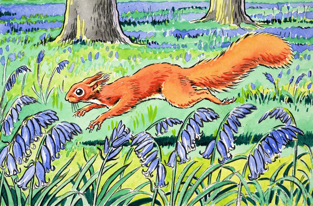 Little Red Eichhörnchen von Harry M. Pettit: Kunstdruck