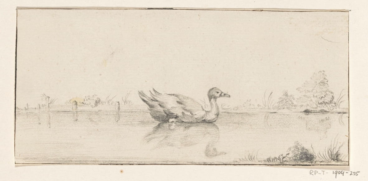Ente im Wasser von Jean Bernard: hochwertiger Kunstdruck
