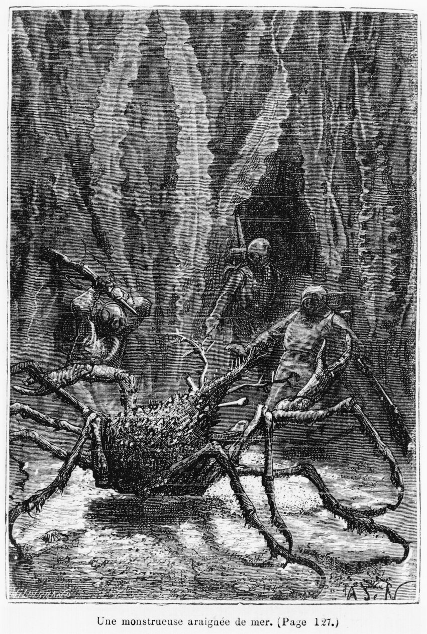 Die Spinnenkrabbe, Illustration aus '20.000 Meilen unter dem Meer' von ...