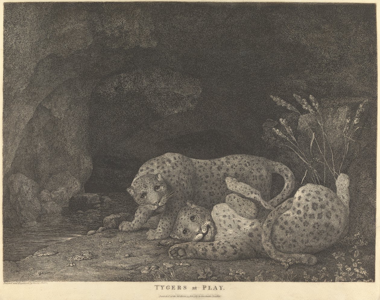 Tiger beim Spielen von George Stubbs: Kunstdruck kaufen