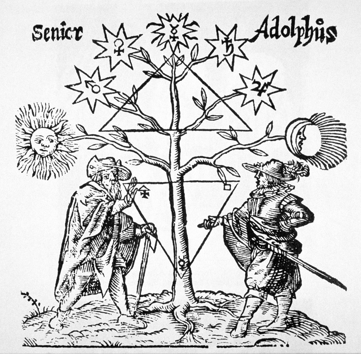 Alchemistischer Baum, Diagrammatisch und Emblematisch, aus Museum ...
