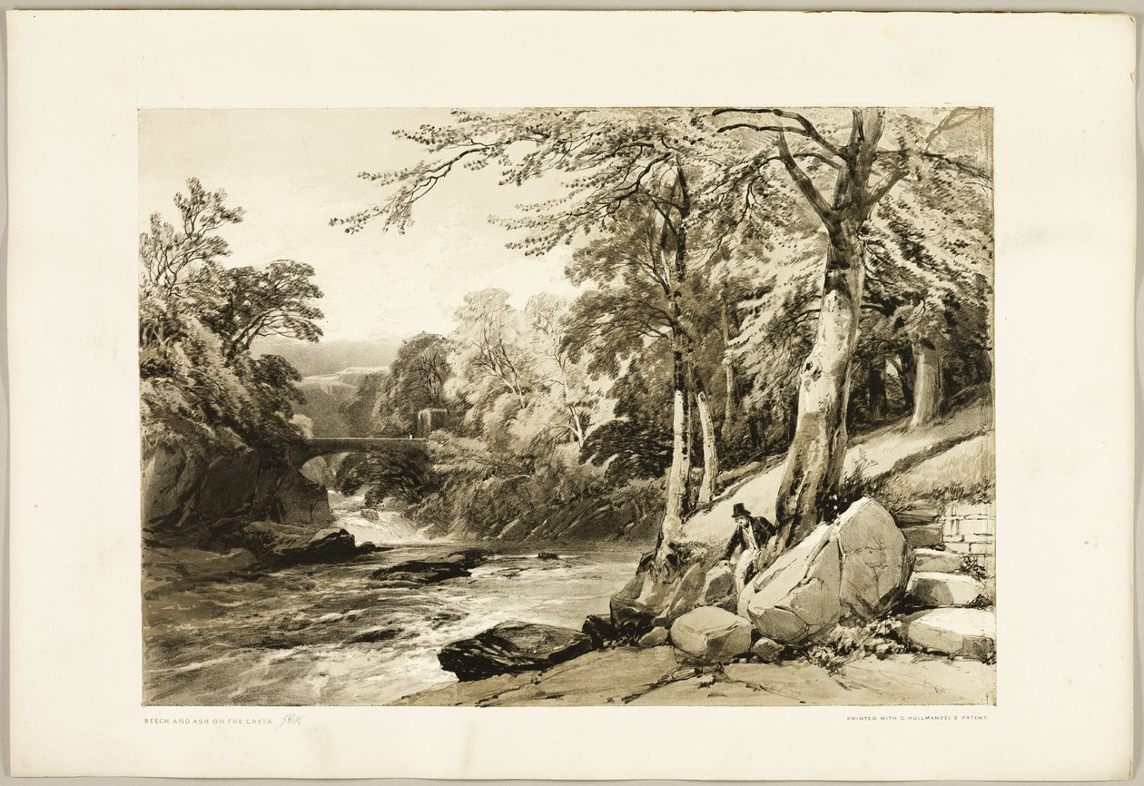 Buche und Esche an der Greta, aus Der Park und der Wald