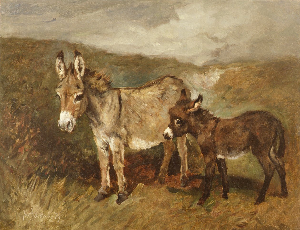 Esel auf der Heide, ca. 1890 von John Emms: Kunstdruck