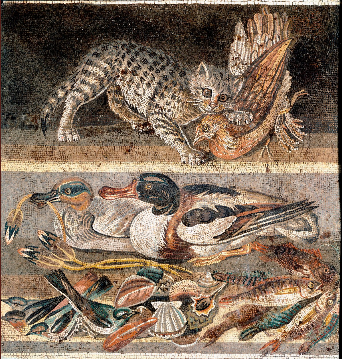 Römische Kunst: Katze frisst ein Rebhuhn und Wildenten Erste Hälfte des 1. Jahrhunderts v. Chr ...