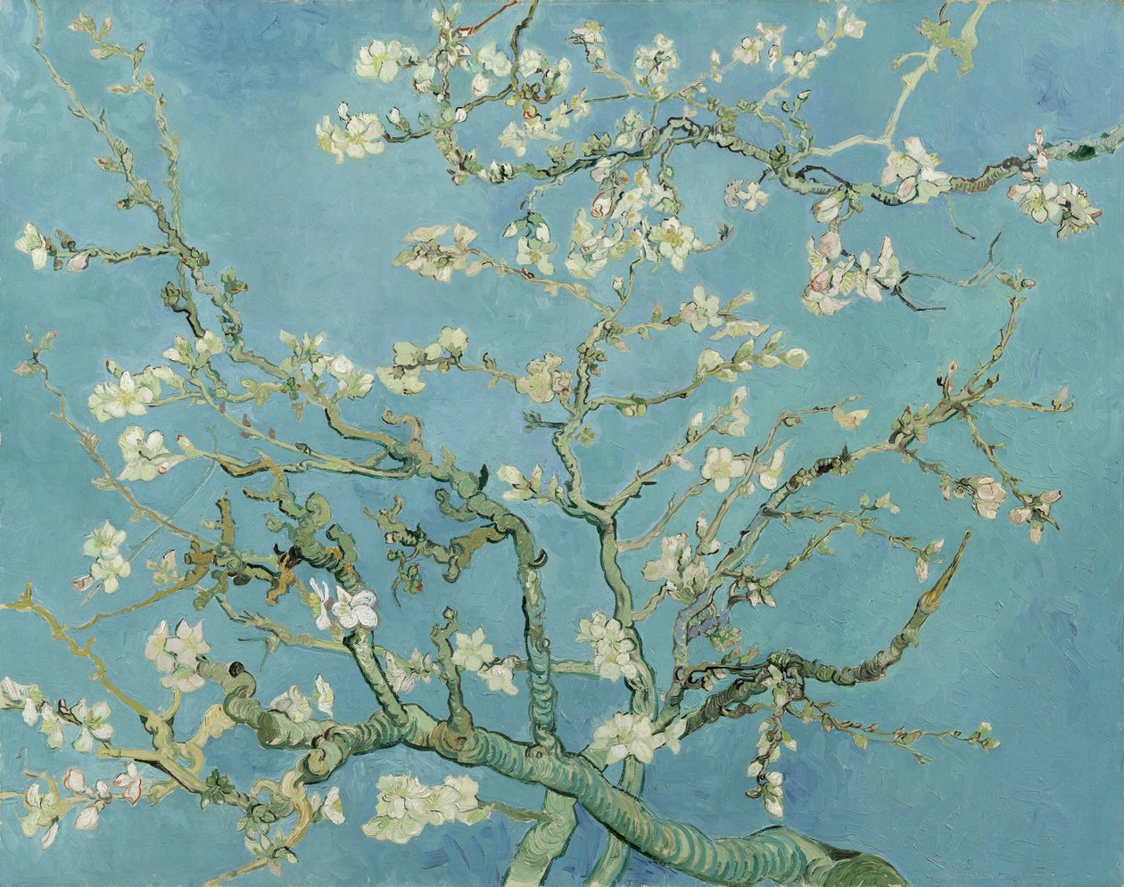 Van Gogh Mandeltre Van Gogh Kunstnerisk Art Nouveau Blomsterdesign