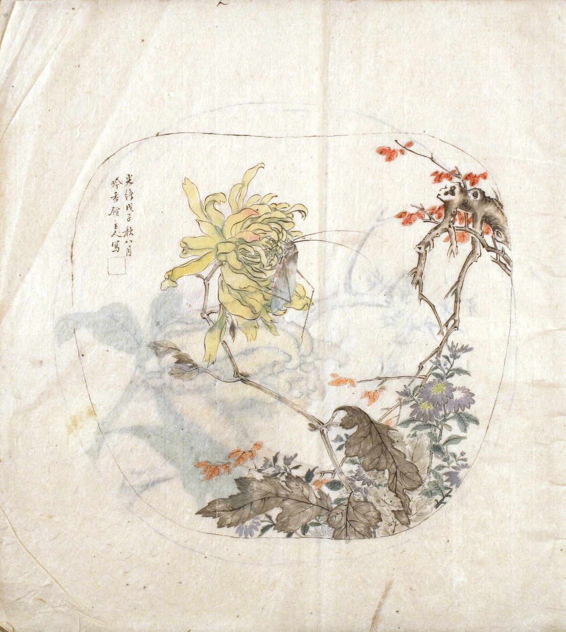 Eine Skizze von Chrysanthemen von Yang Shichao: Kunstdruck