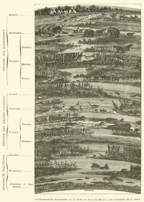Progressive Entwicklung von Flora und Fauna in den aufeinanderfolgenden ...
